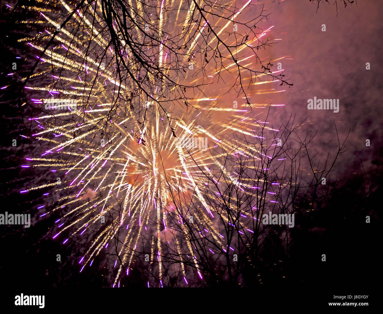 A bright explosion of fireworks amongst the treetops Stock Photo - Alamy