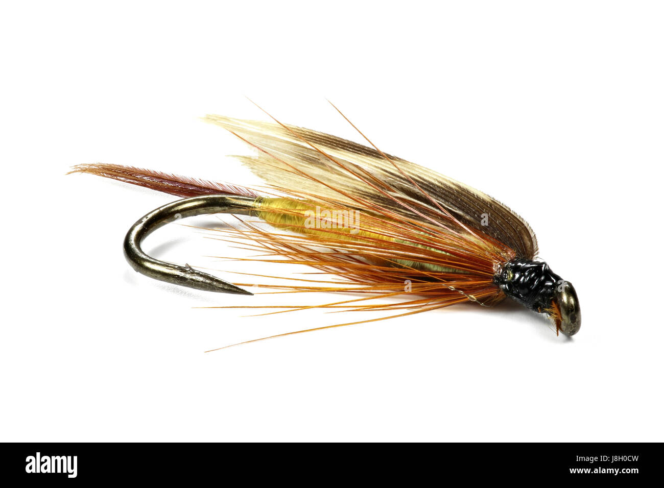artificial fly for fishing isolated on white background Stock Photo - Alamy