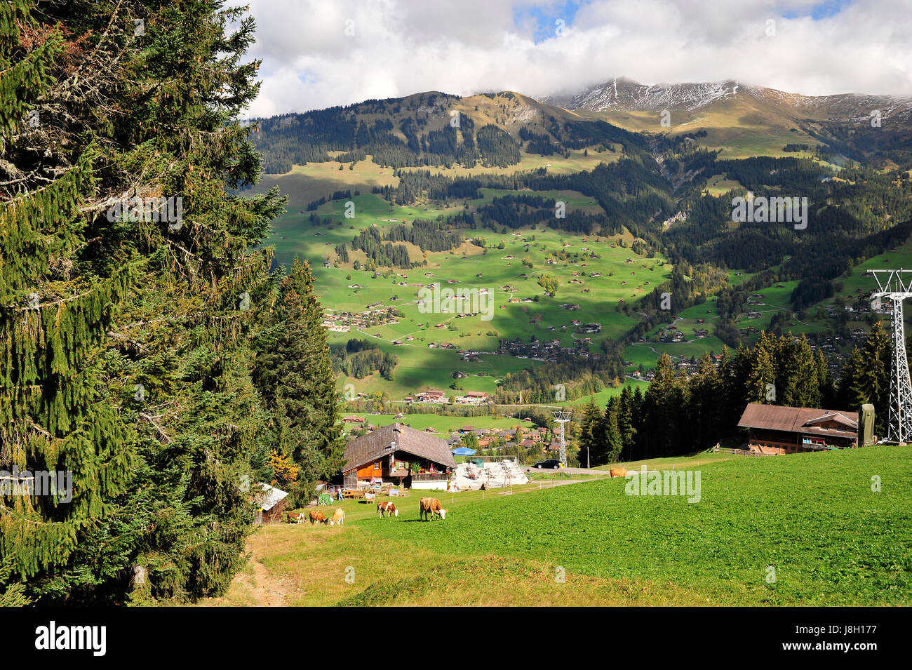house, building, switzerland, valley, cow, ski-lift, nature, blue ...