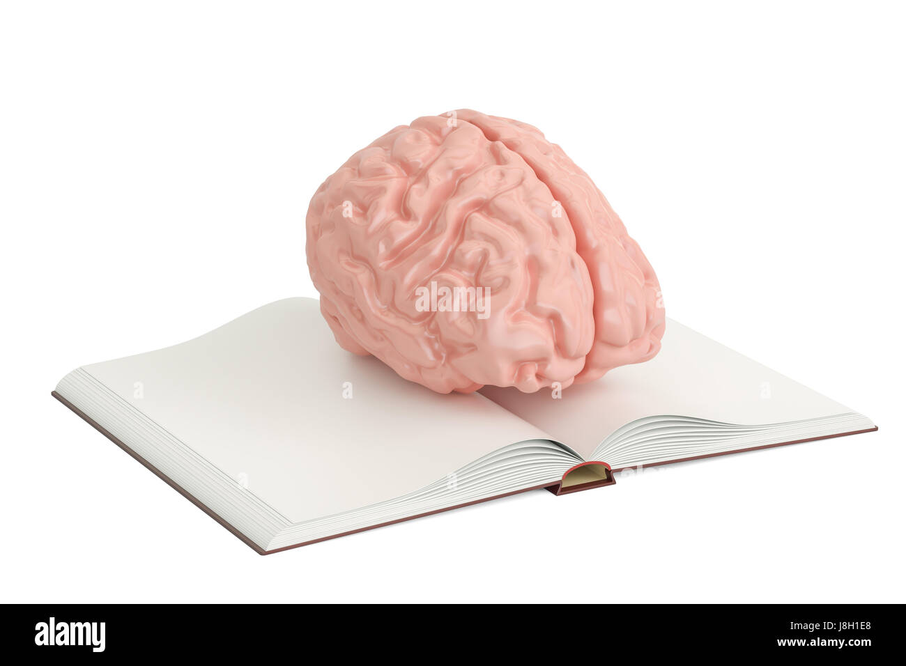Opened blank book with human brain, 3D rendering isolated on white ...
