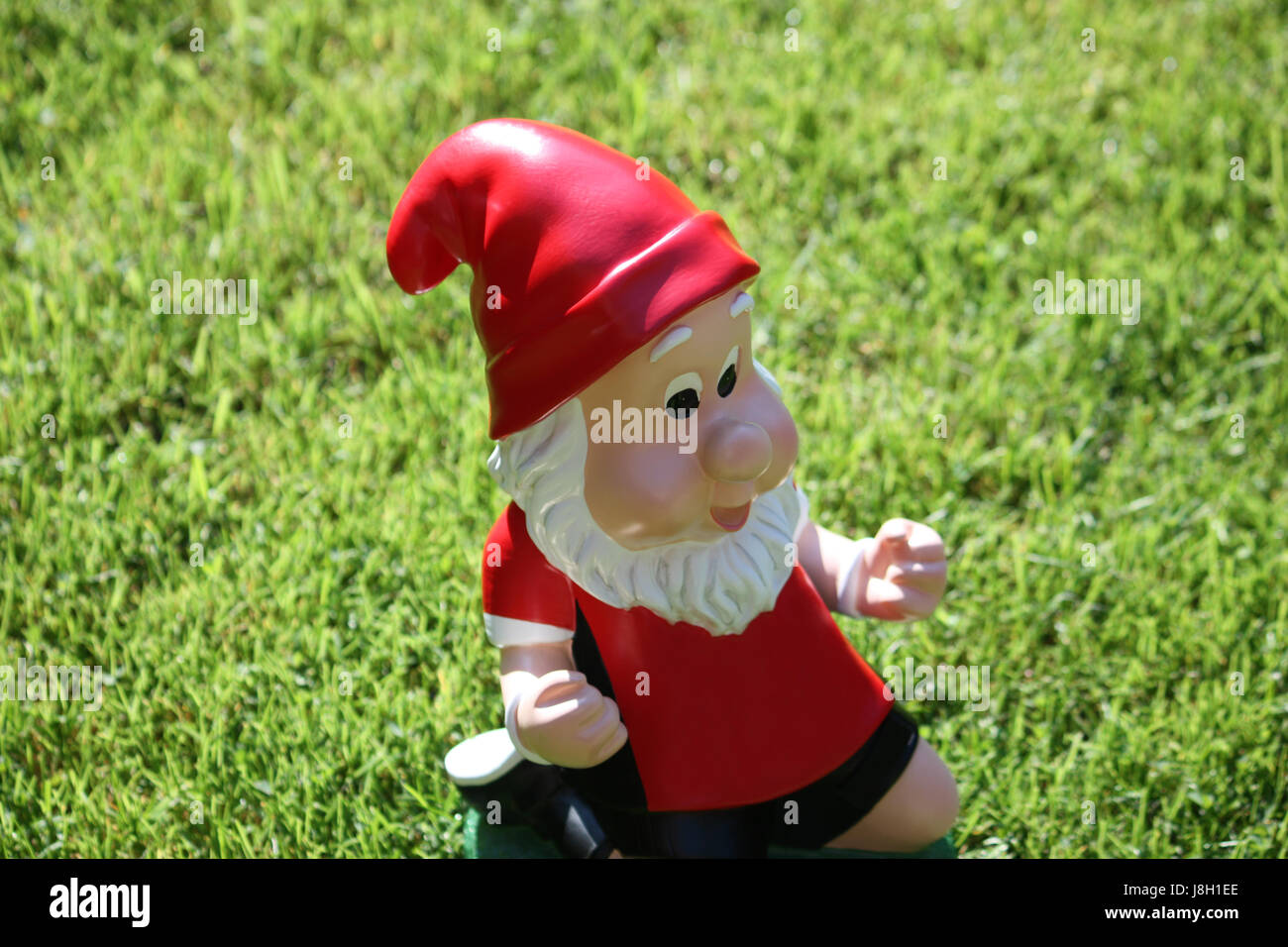 football dwarf after scoring a goal Stock Photo - Alamy