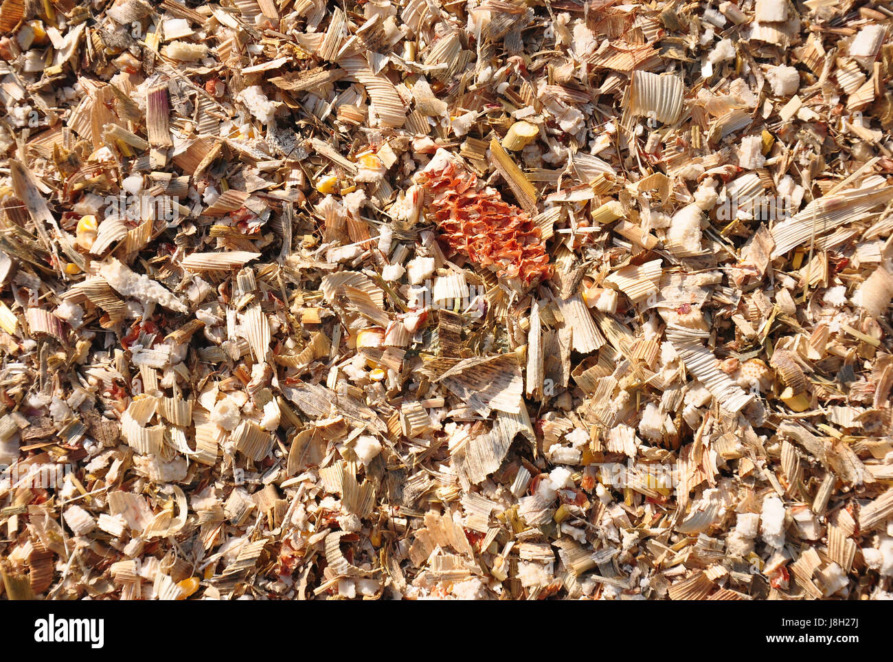 plant, agriculture, farming, trash, corn, reap, thresh, thrashing ...