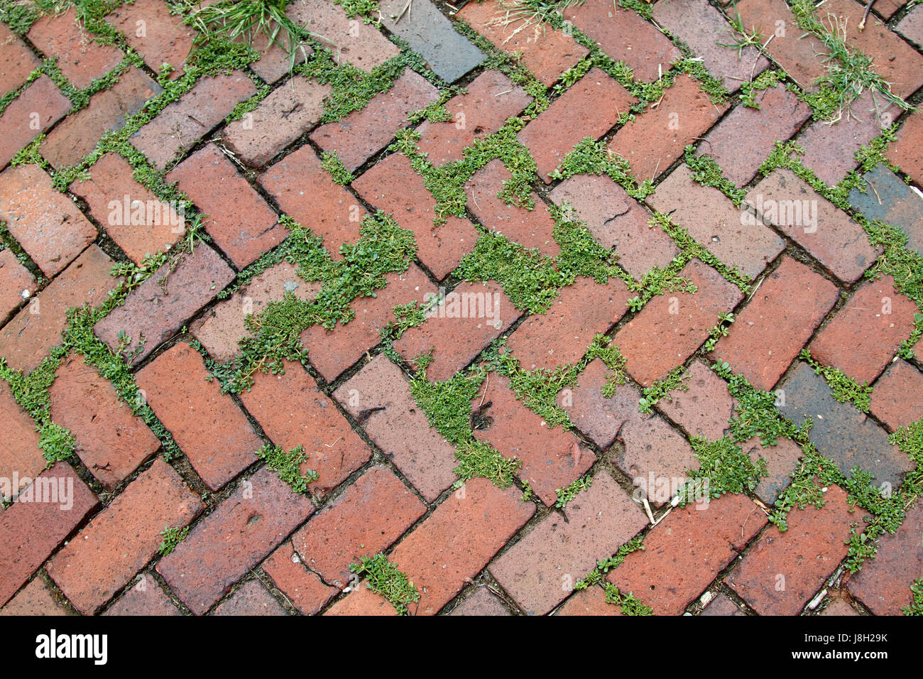 wall, brick, sidewalk, pattern, backdrop, background, texture, design ...