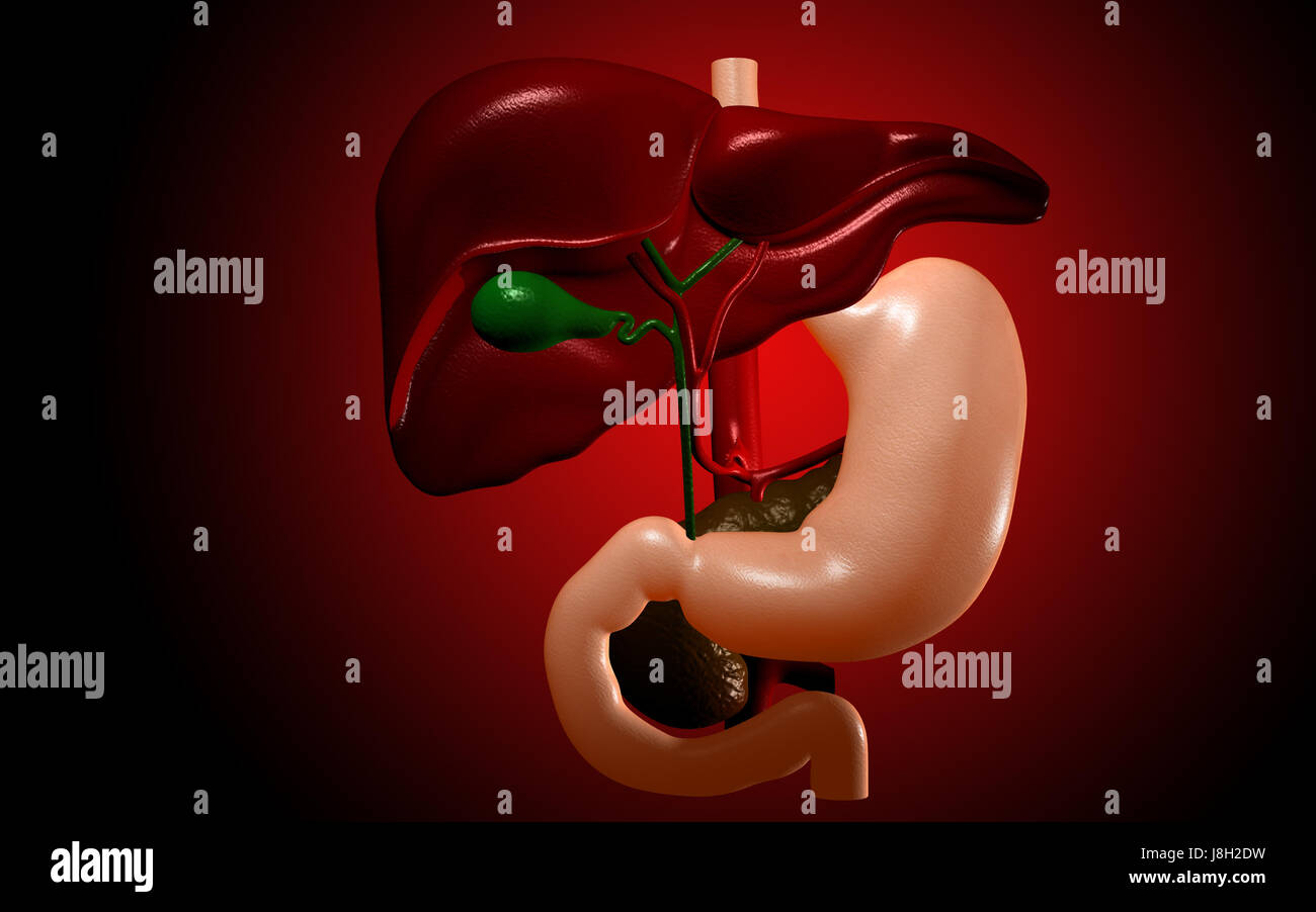 inside, graphics, colour, illustration, imagination, digital, belly ...