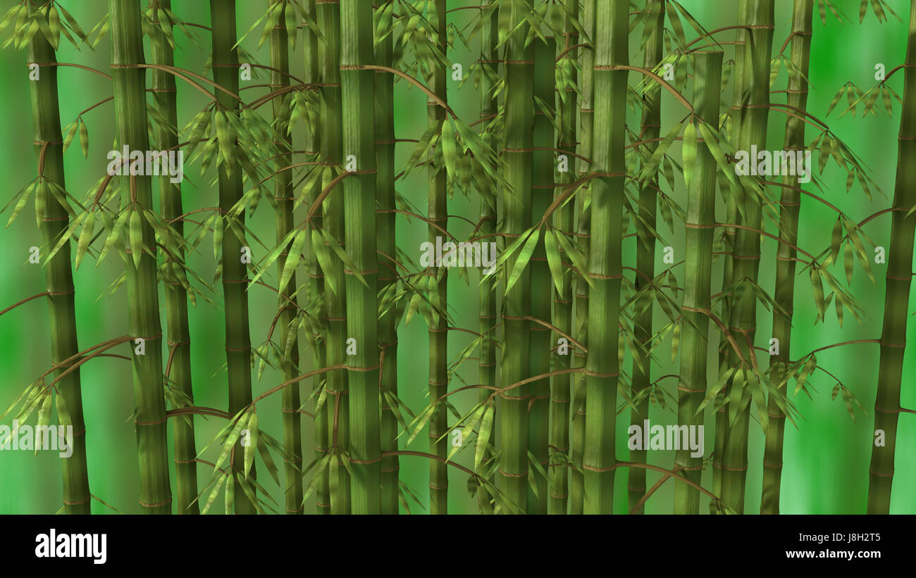 tree, freshness, bamboo, climate, meadow, grass, lawn, green, forest ...