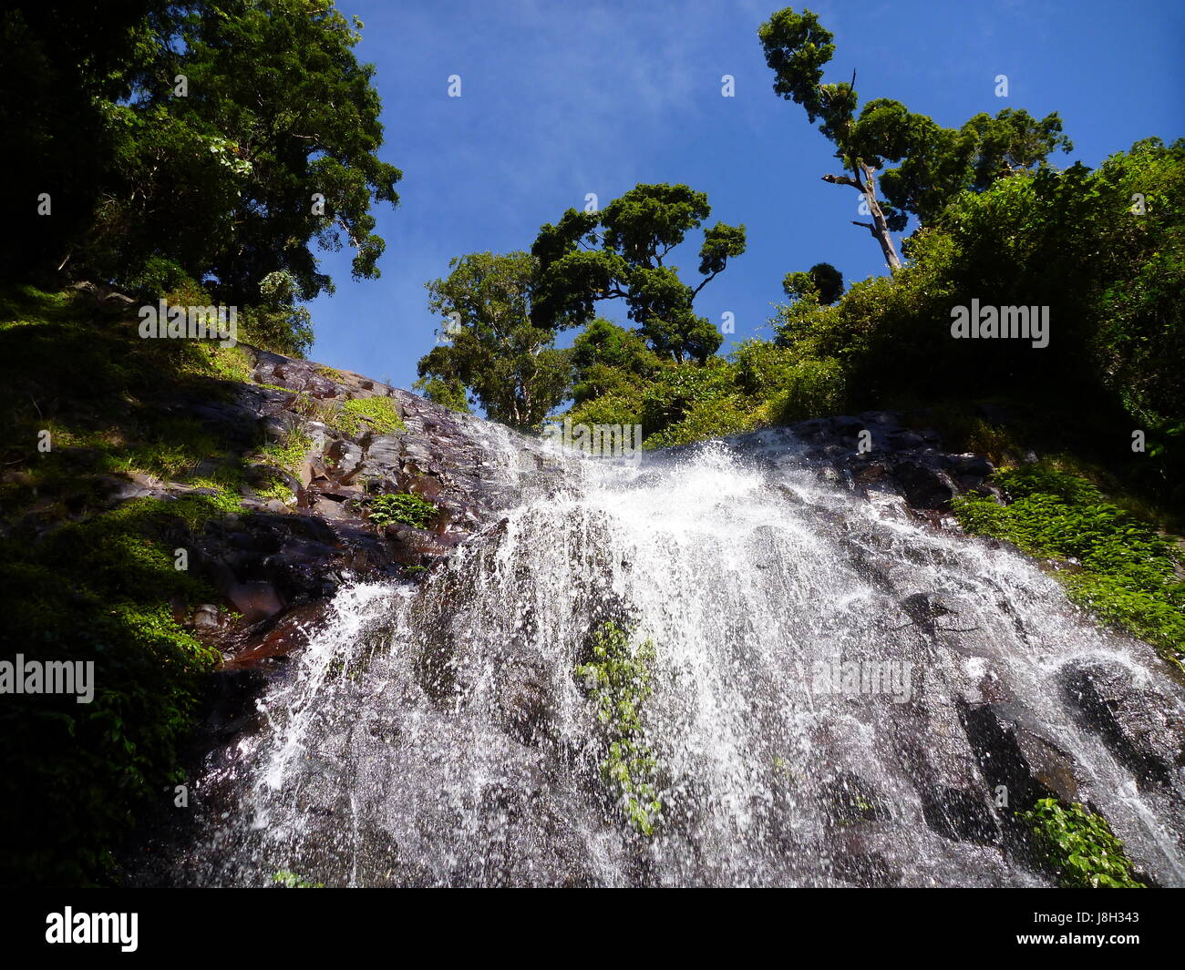 waterfall,dorrigo national park Stock Photo - Alamy