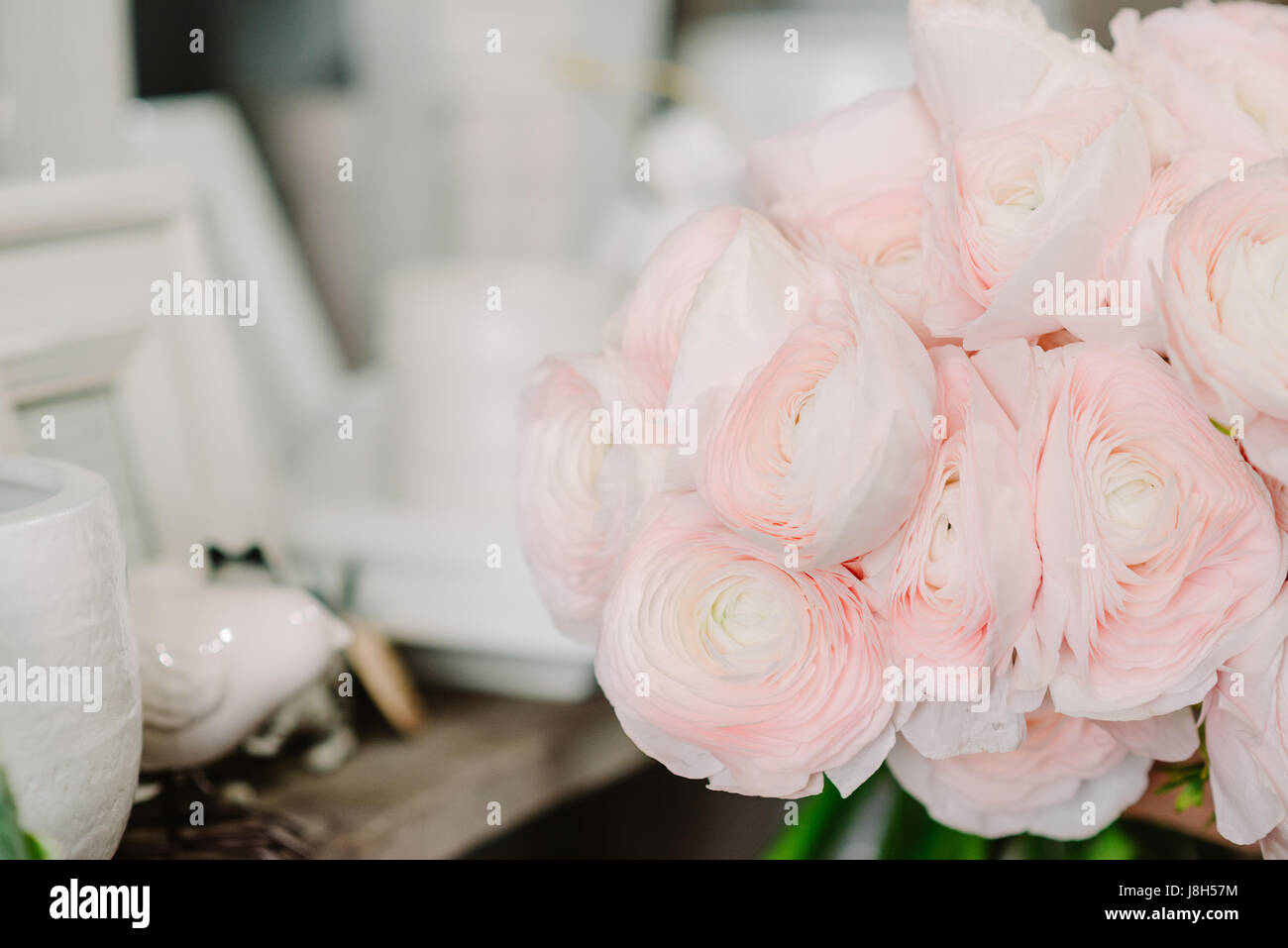 Magnificent bouquet of bright pink ranunculus Stock Photo - Alamy