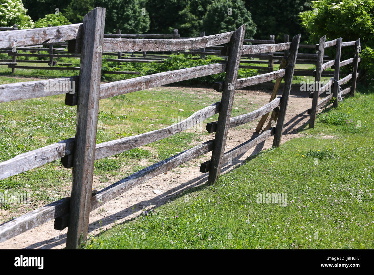 Very old wooden corral fence at summertime rural scene Stock Photo - Alamy