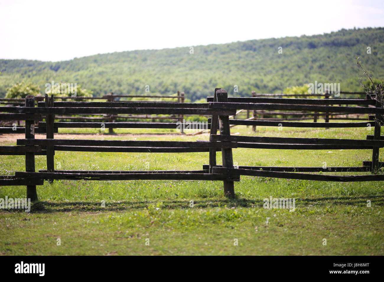 Paddock at the horse farm without horses Stock Photo - Alamy