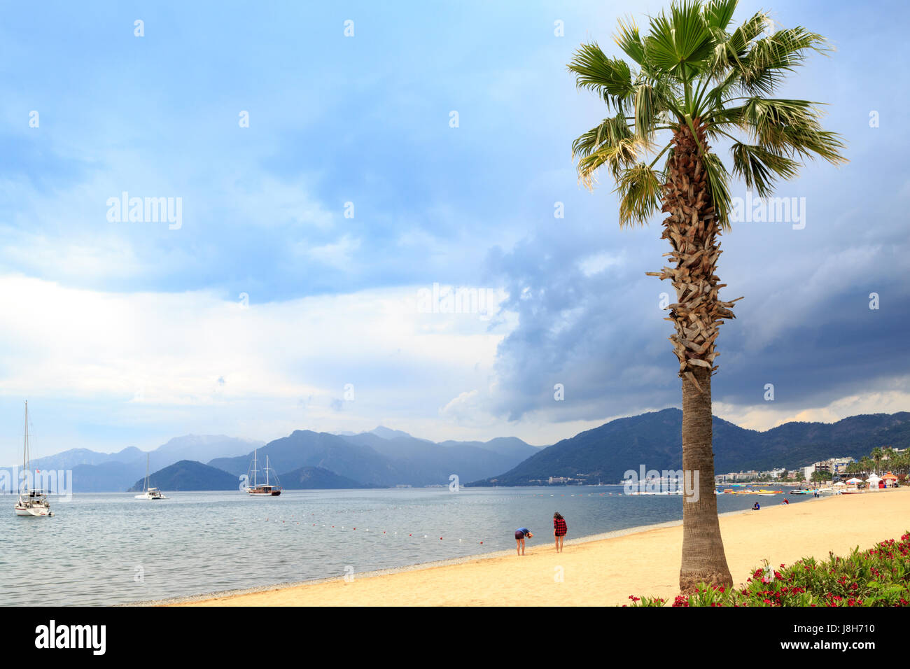 Marmaris beach with palm tree and mountains background Stock Photo - Alamy