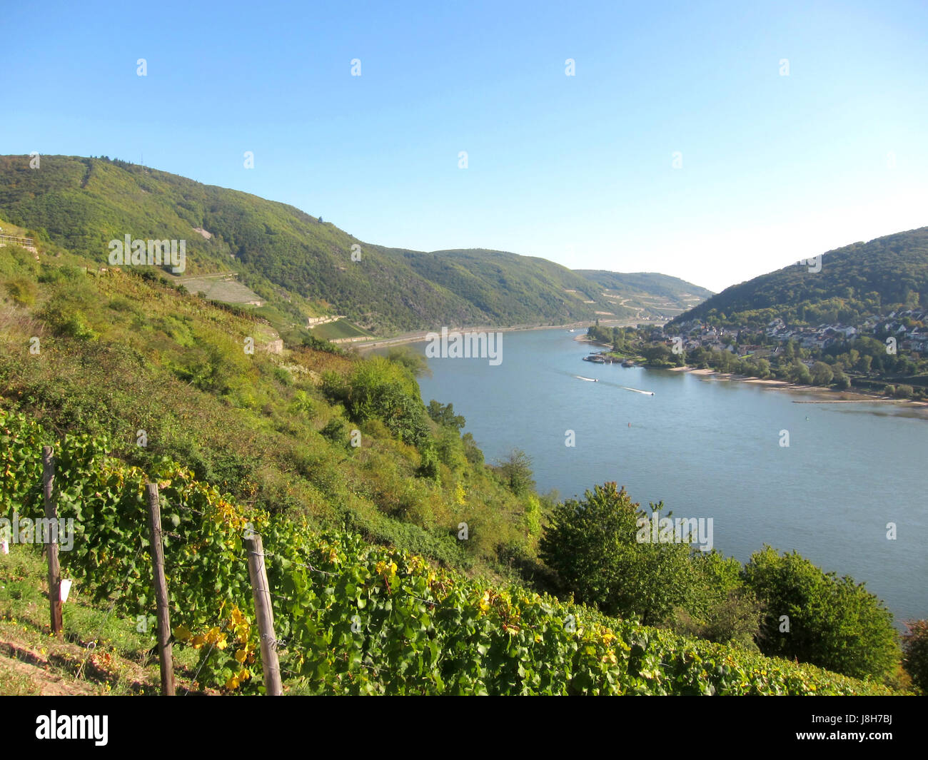 Rheingau and vineyards hi-res stock photography and images - Alamy