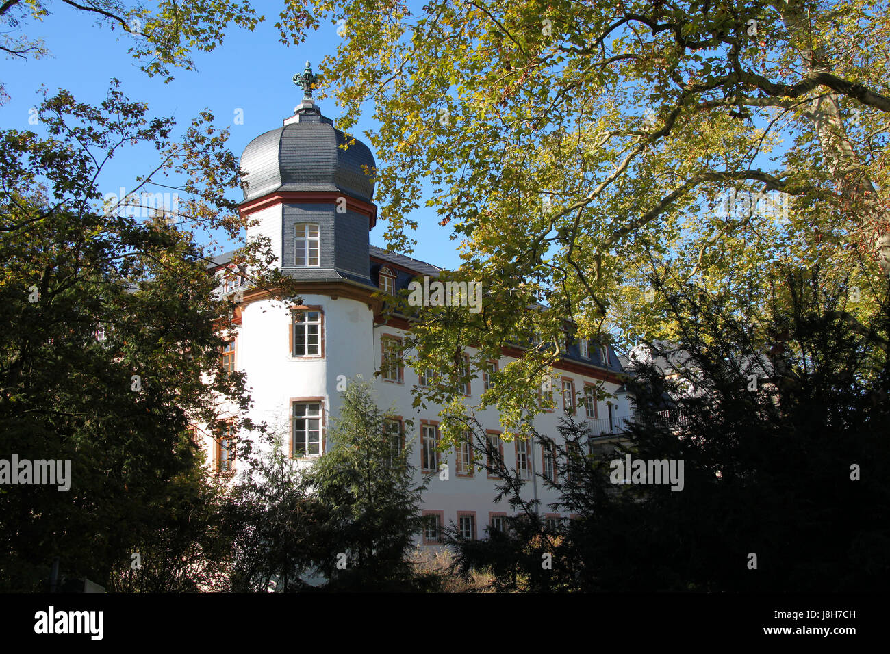 tower, historical, hesse, mysterious, execrated, curse, chateau, castle ...