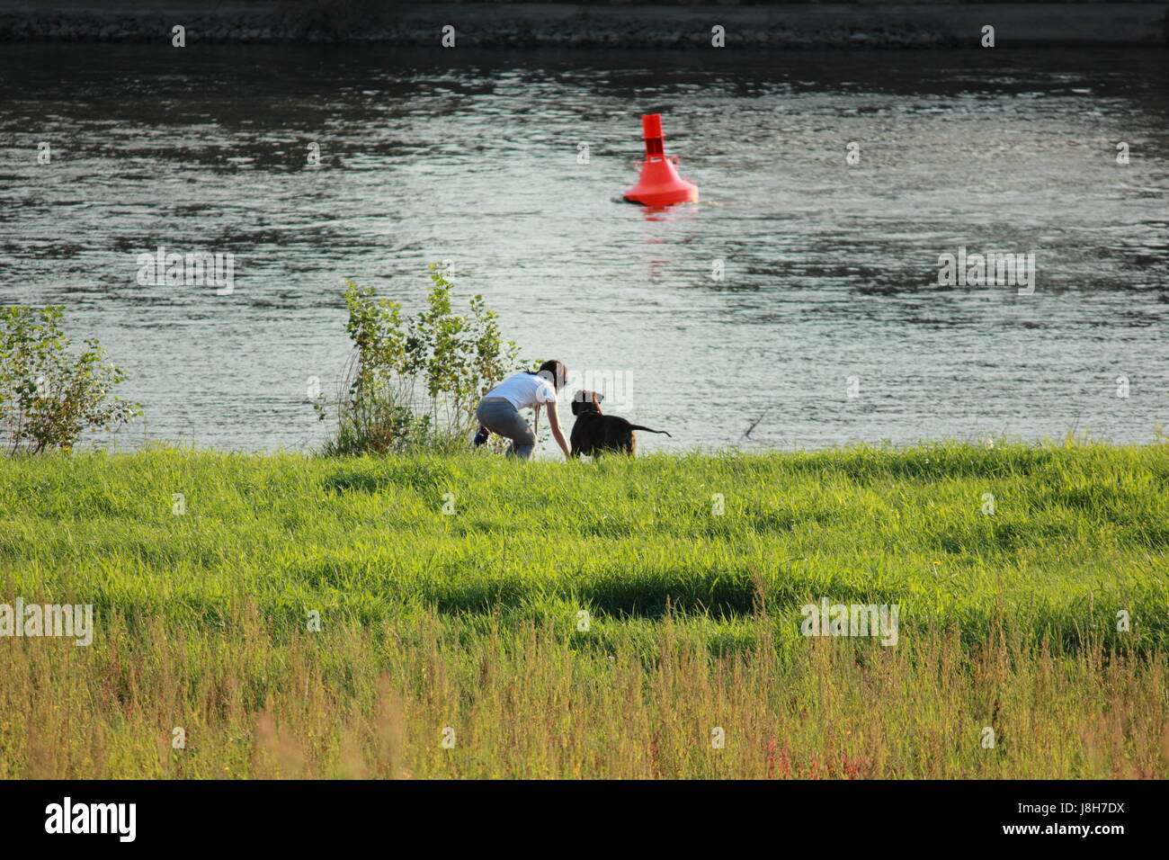 Throwing stick hi-res stock photography and images - Alamy
