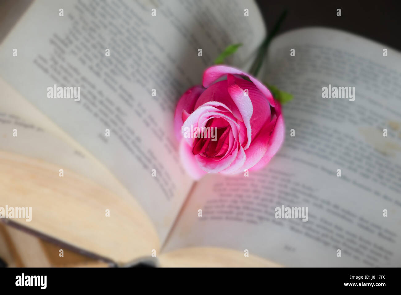 Roses on books Stock Photo - Alamy
