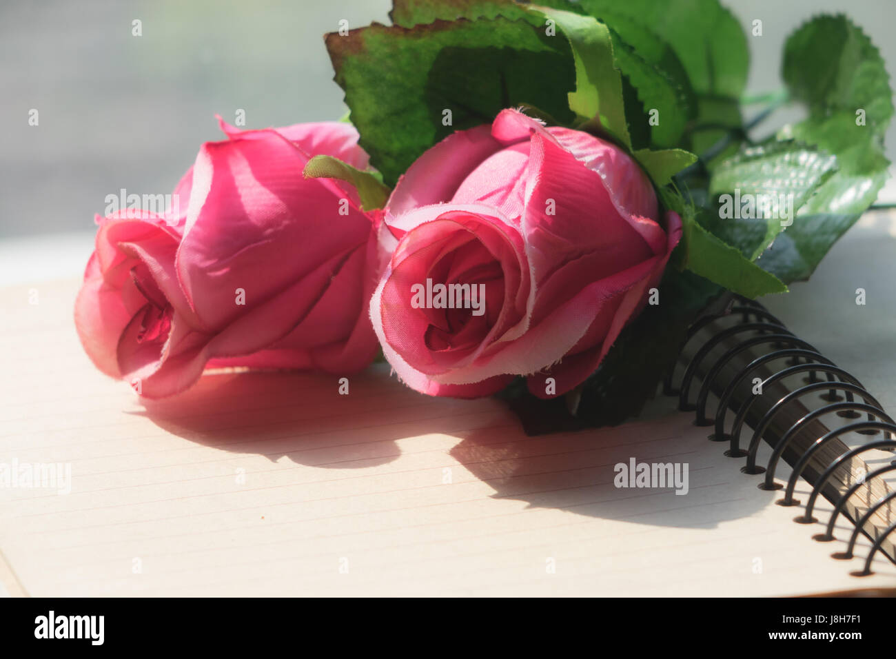 Rose on book hi-res stock photography and images - Alamy