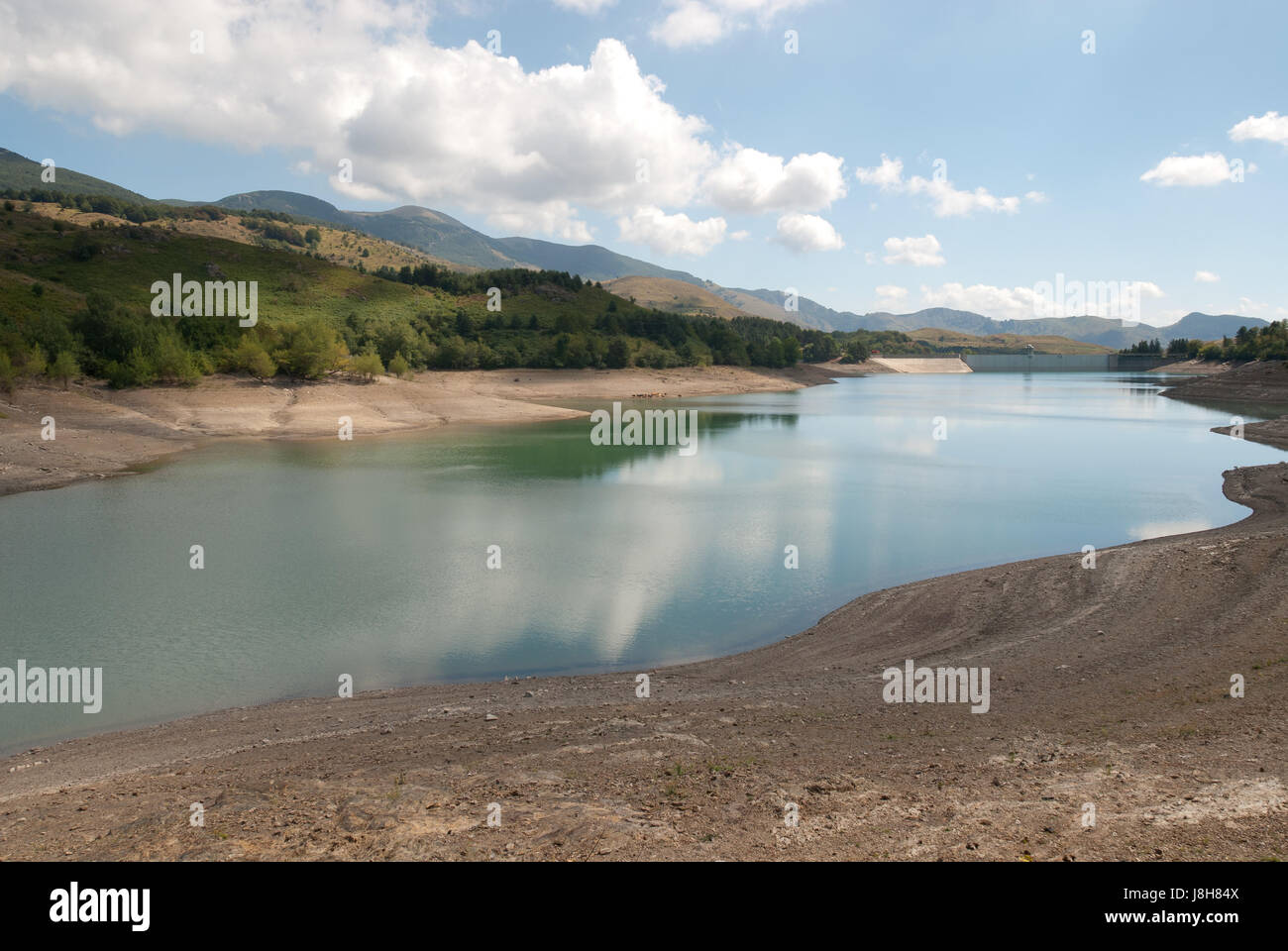 environment, enviroment, cow, fresh water, lake, inland water, water ...