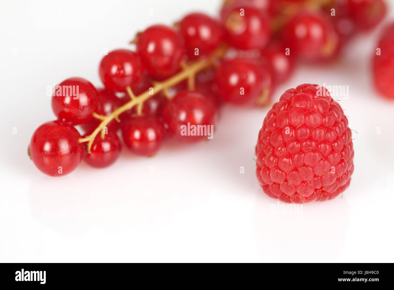 single berry and strand Stock Photo - Alamy