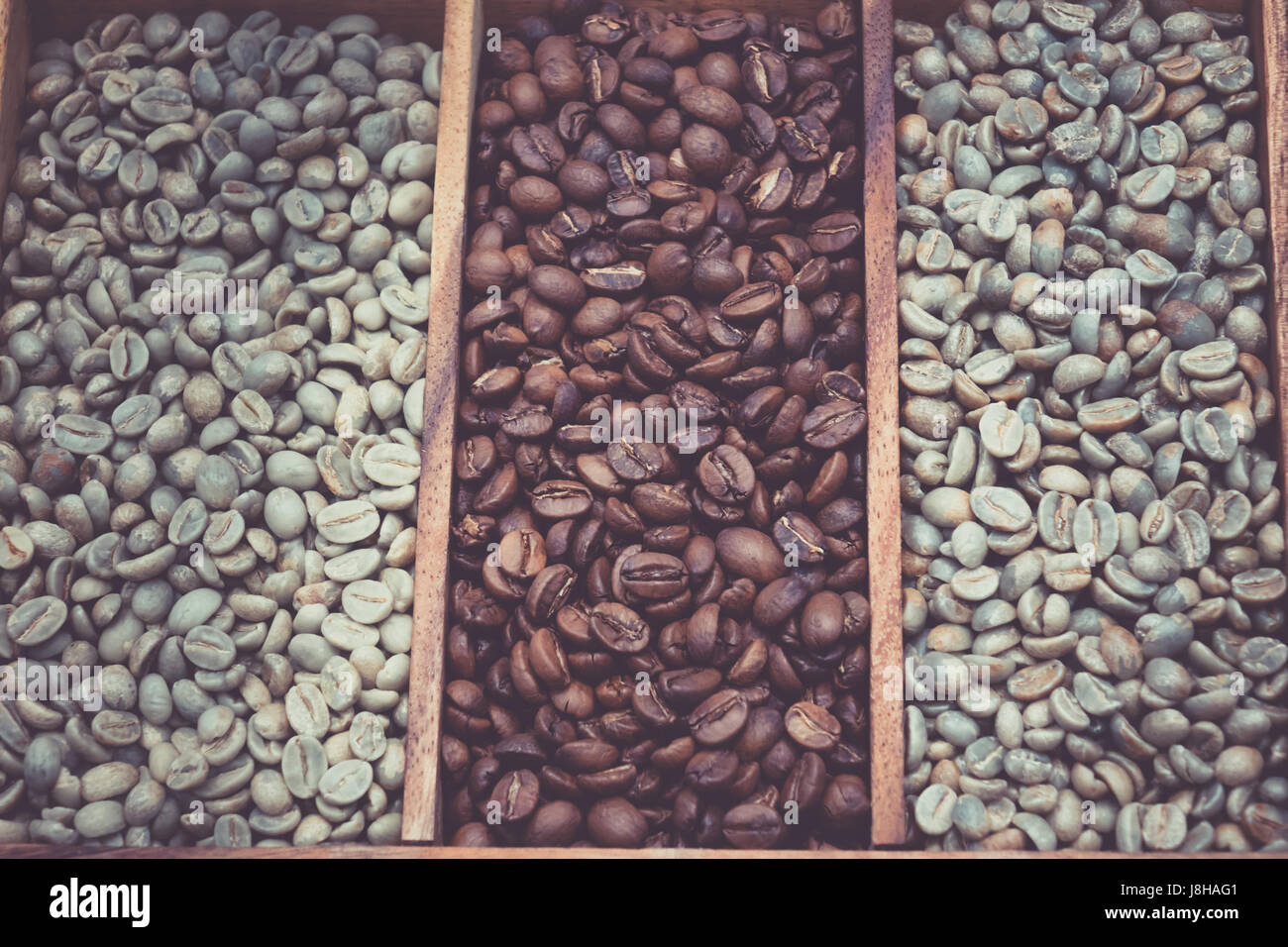 Coffee in the production of coffee Stock Photo - Alamy