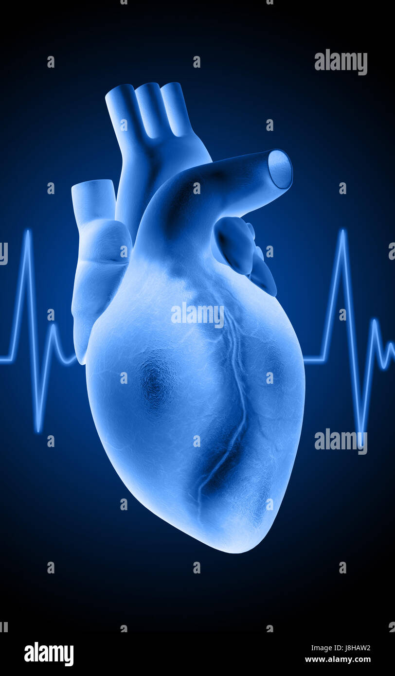 blue, education, circulation, graphics, colour, science, illustration ...