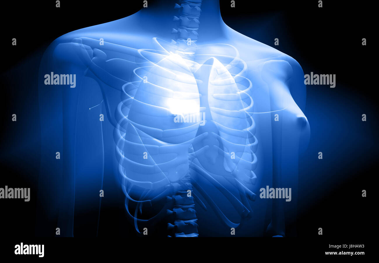 blue, education, health, medicinally, medical, graphics, colour, female ...