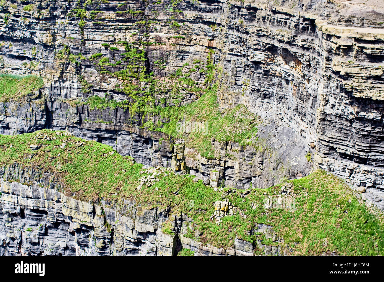 stone, rock, coast, ireland, geology, stones, detail, environment ...
