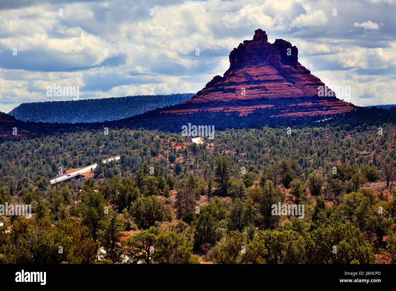 arizona, travel, environment, enviroment, tree, trees, stone, desert ...