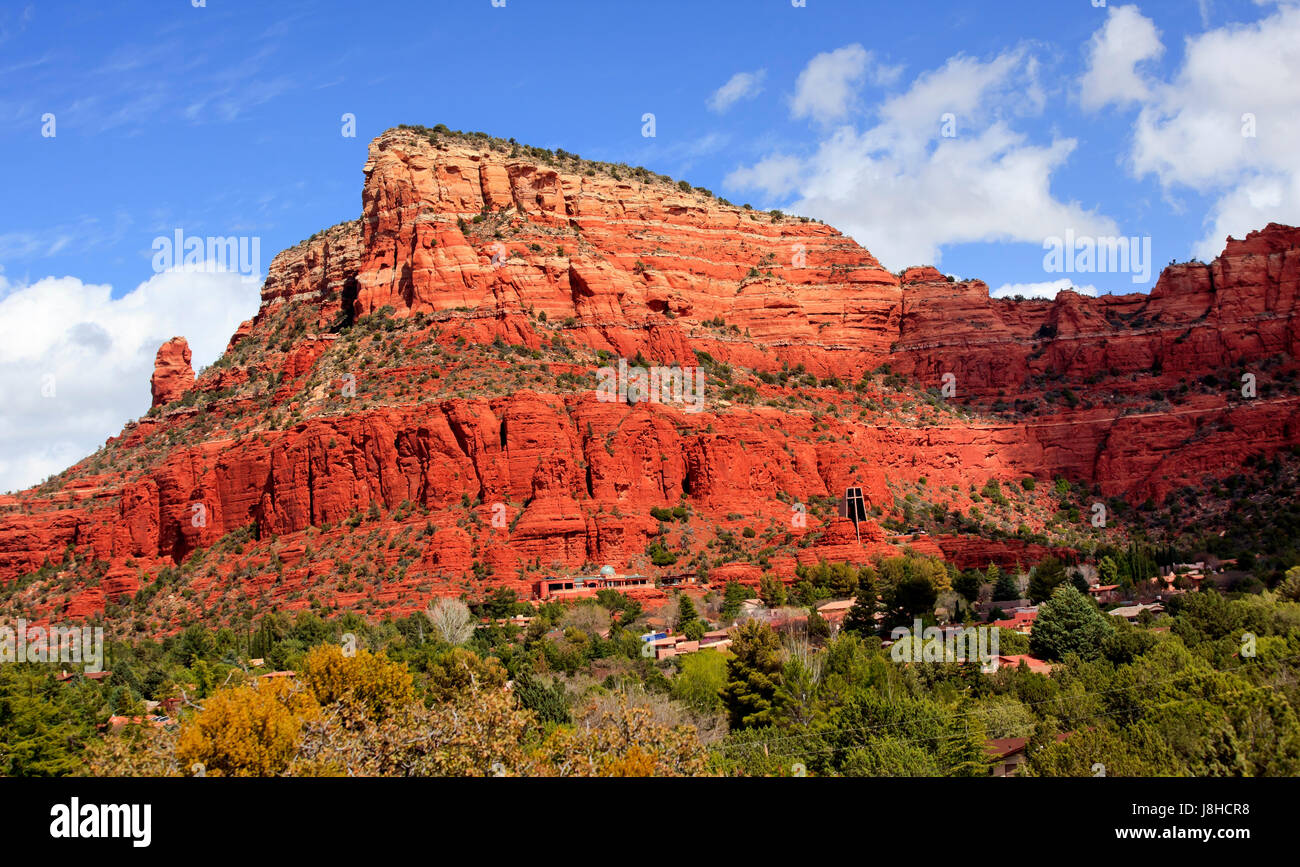 arizona, cactus, beautiful, beauteously, nice, travel, houses ...