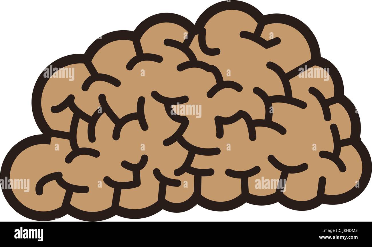 Right brain icons Stock Vector Images - Alamy