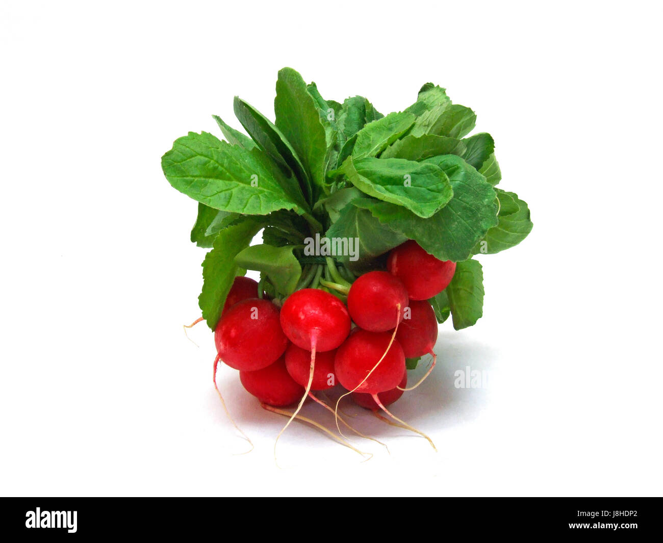 food, aliment, boil, cooks, boiling, cooking, vegetable, radish ...