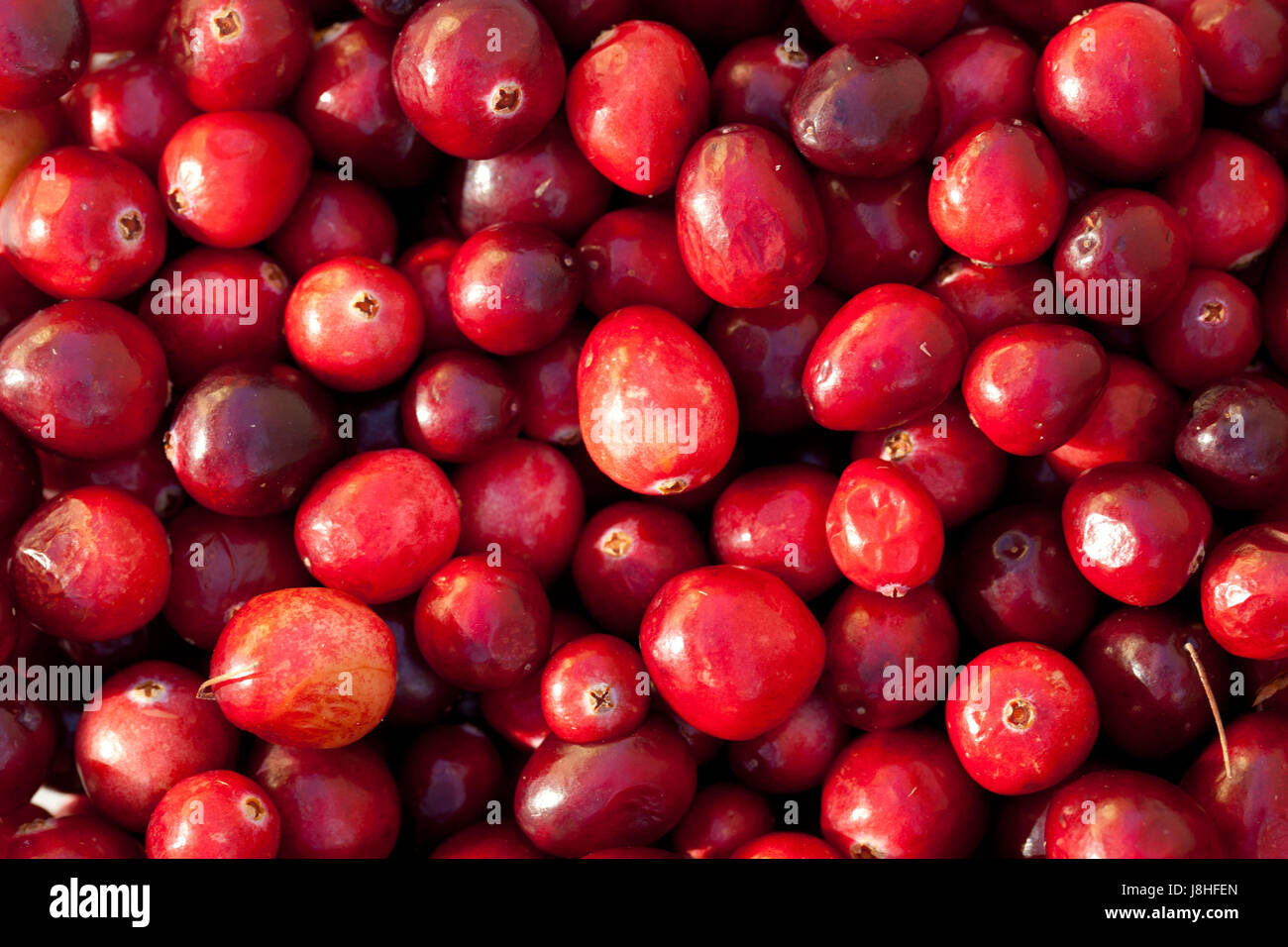 fruit, berries, berry, backdrop, background, red, texture, food ...