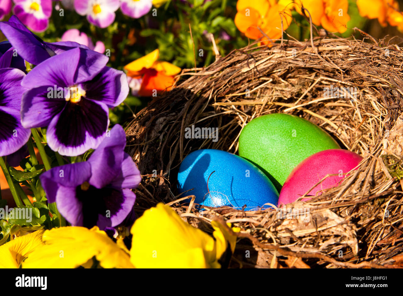 garden, bloom, blossom, flourish, flourishing, flower, flowers, plant ...