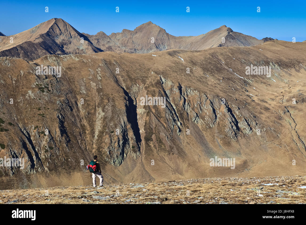 humans, human beings, people, folk, persons, human, human being, walk ...