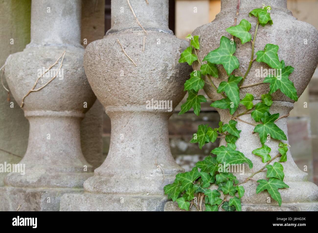 house, building, green, columns, style of construction, architecture ...
