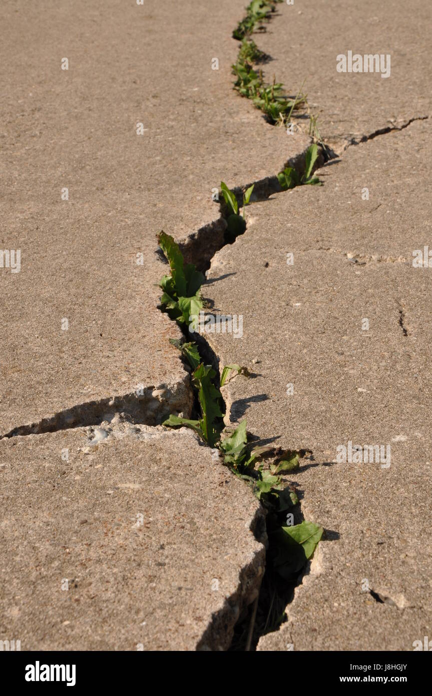 crack in the ground Stock Photo - Alamy