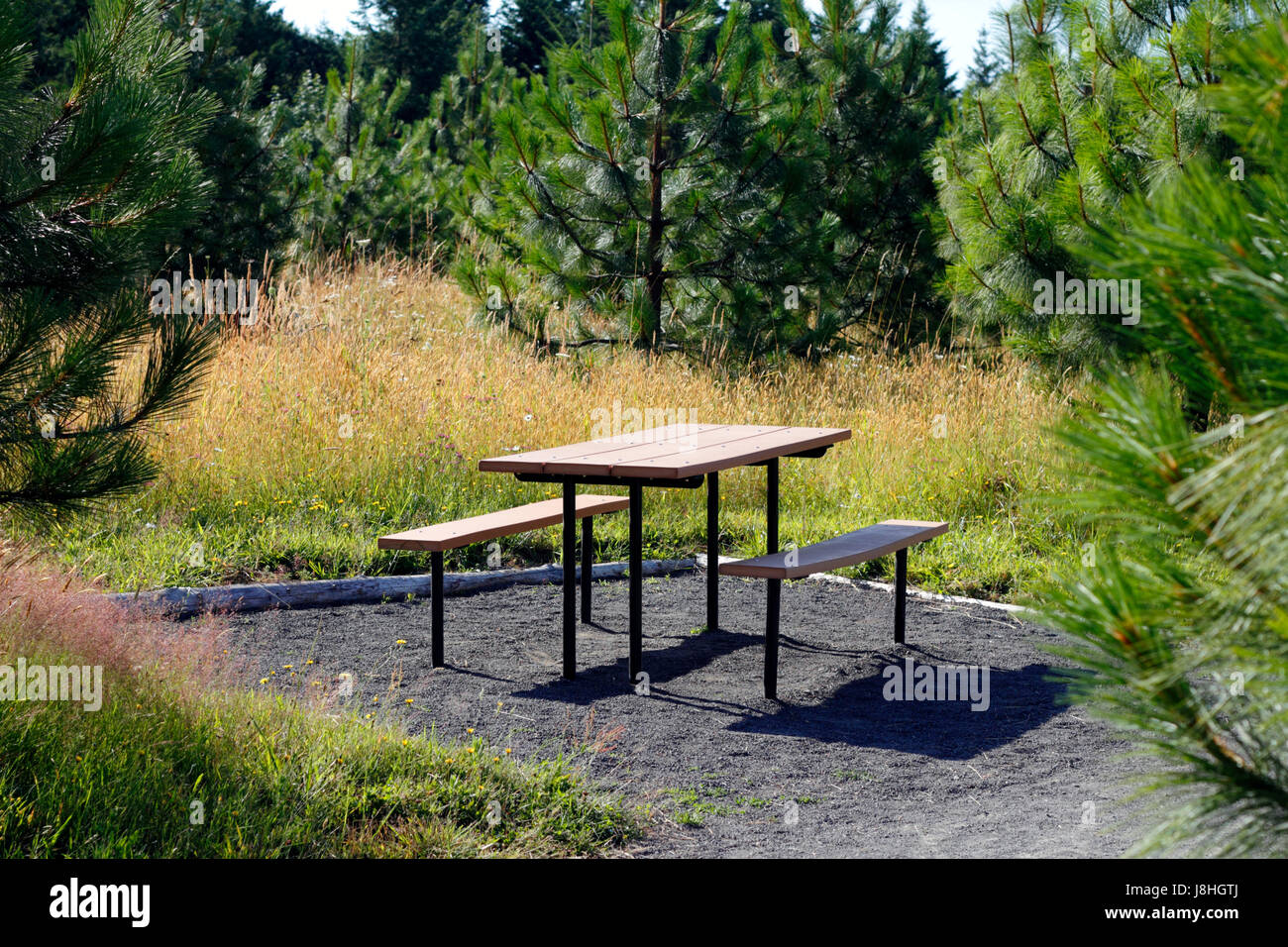 private, outdoor, outside, picnic, seat, bench, table, private, tree ...