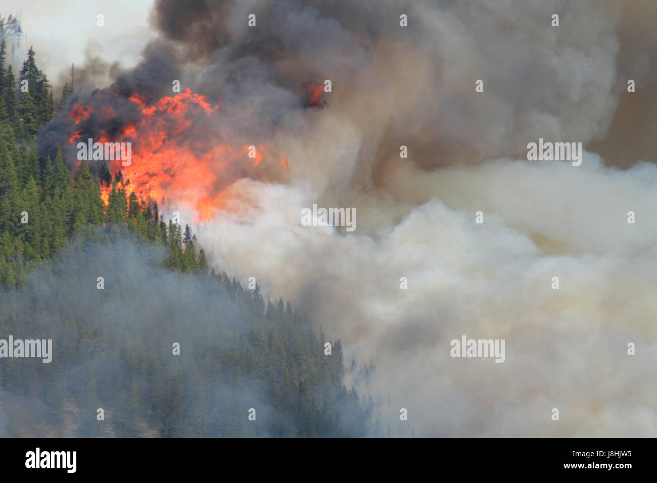 Forest fire hot spot hi-res stock photography and images - Alamy