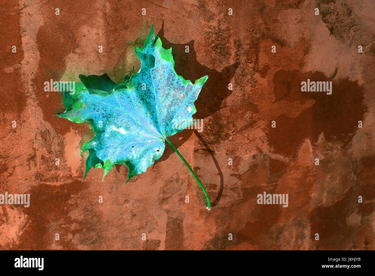 autumnal, lie, lying, lies, drop, tear down, page, sheet, backdrop ...