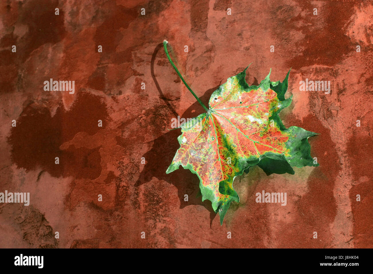 autumnal, lie, lying, lies, drop, tear down, page, sheet, backdrop ...