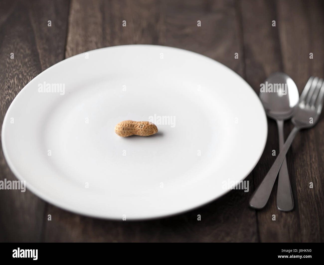 peanuts, peanut, food, dish, meal, lunch, supper, dinner, starve, paid ...