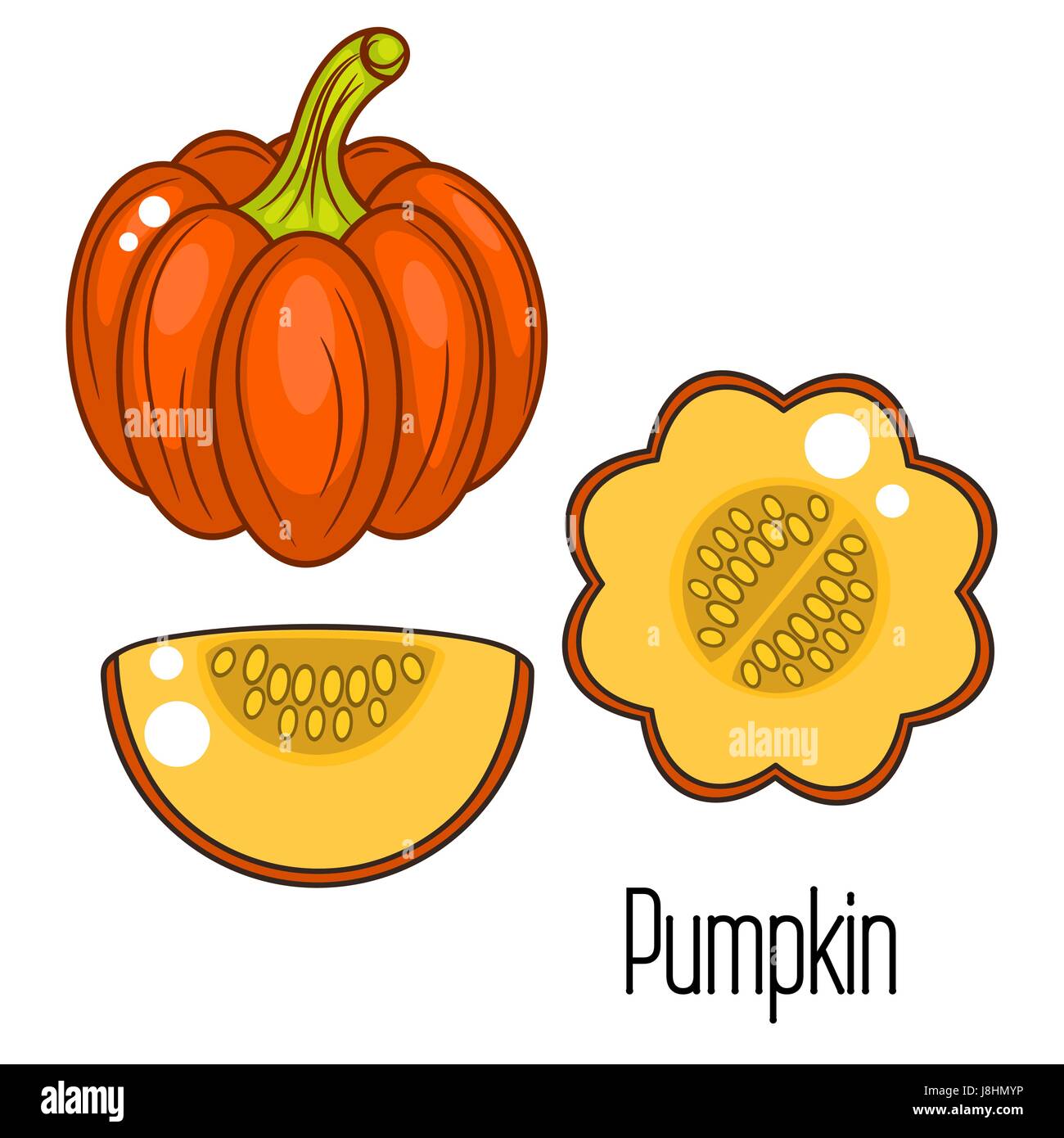 Acorn squash cartoon vector illustration. Orange pumpkin whole ...