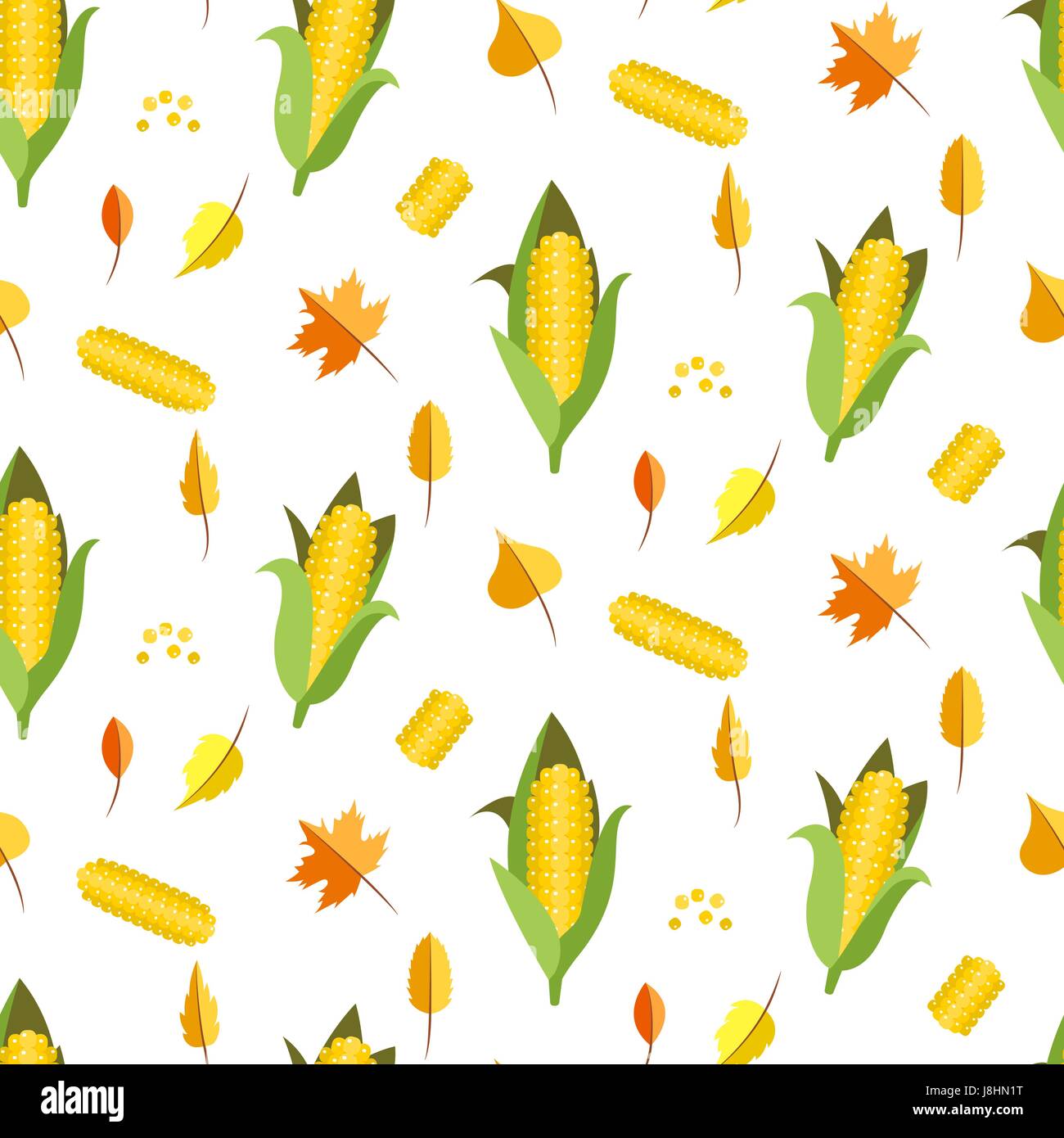 Corn seamless pattern vector illustration. Maize ear or cob. Yellow ...