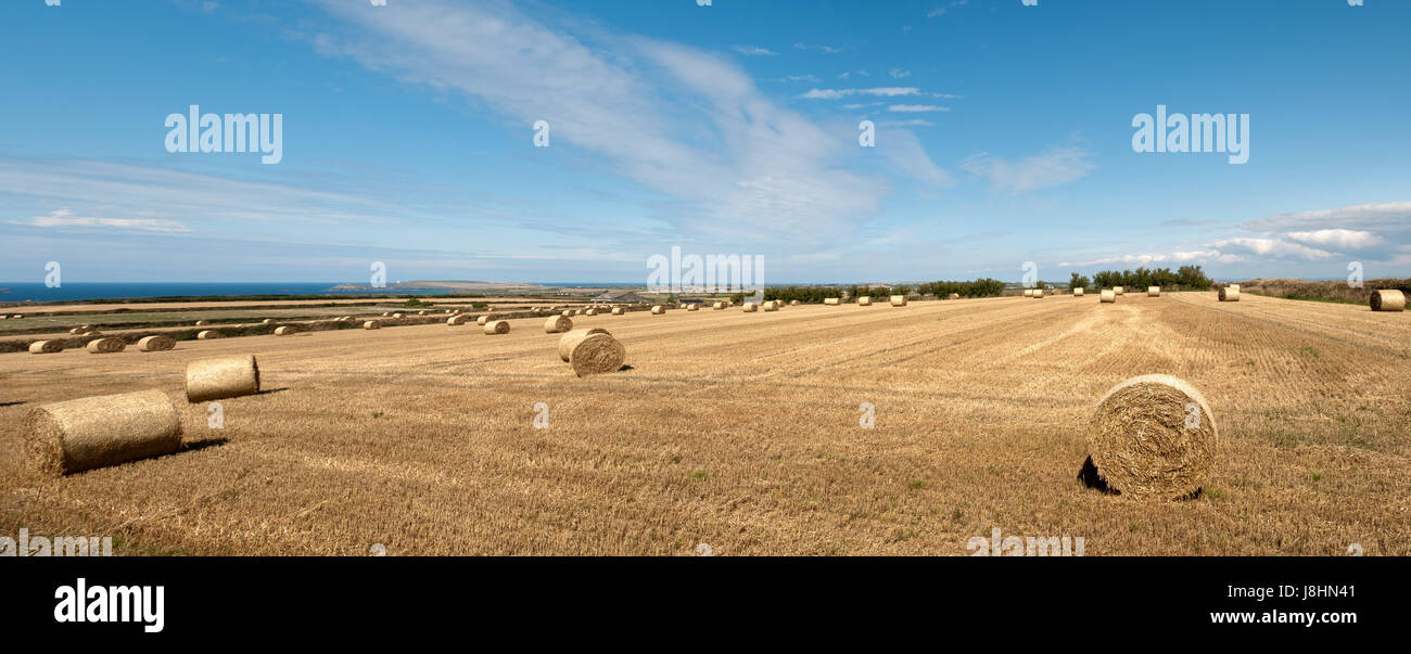 environment, enviroment, agriculture, farming, field, overview ...
