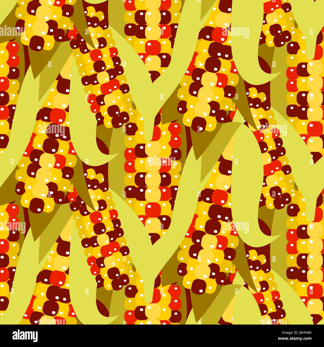 Flint corn seamless pattern vector illustration. Colored maize ear or ...