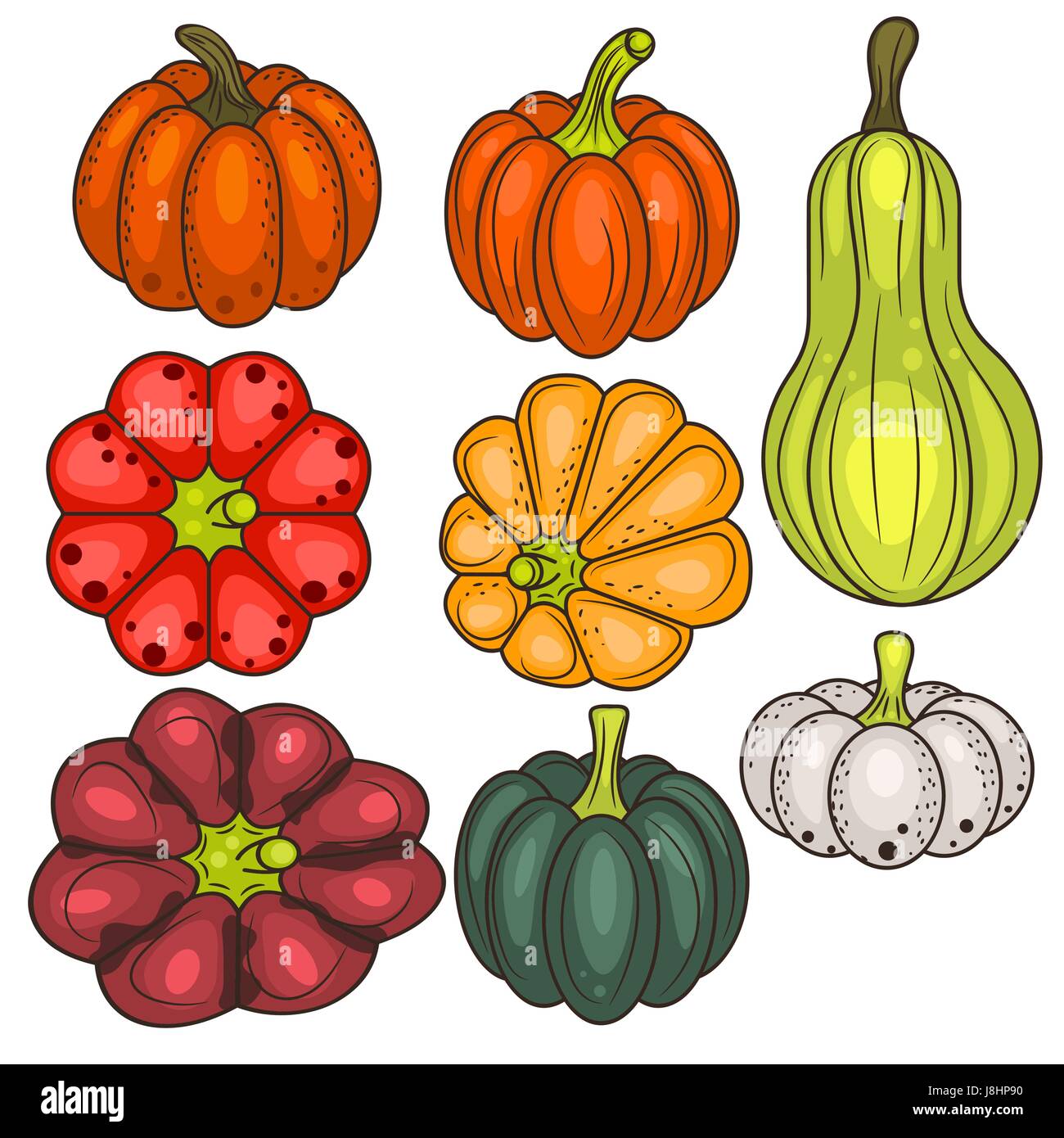 Set of pumpkin vegetable vector clip art Stock Vector Image & Art - Alamy