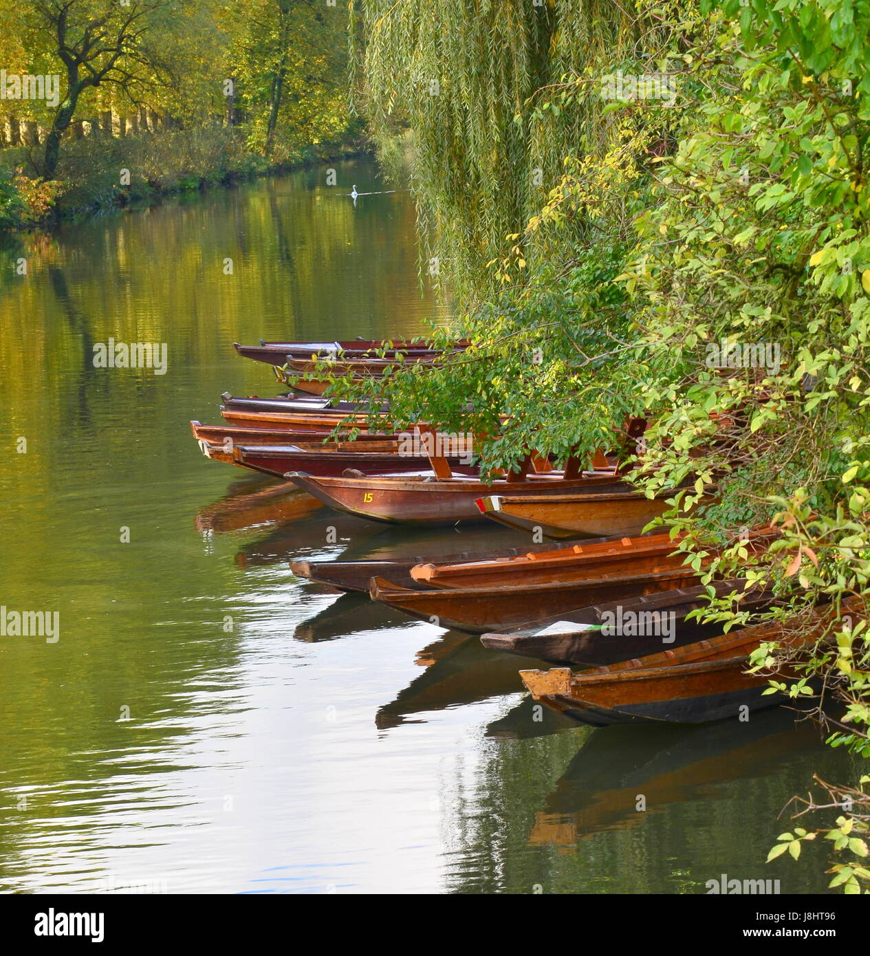 rowboats, river, water, mirroring, rowboats, river, water, tbingen ...