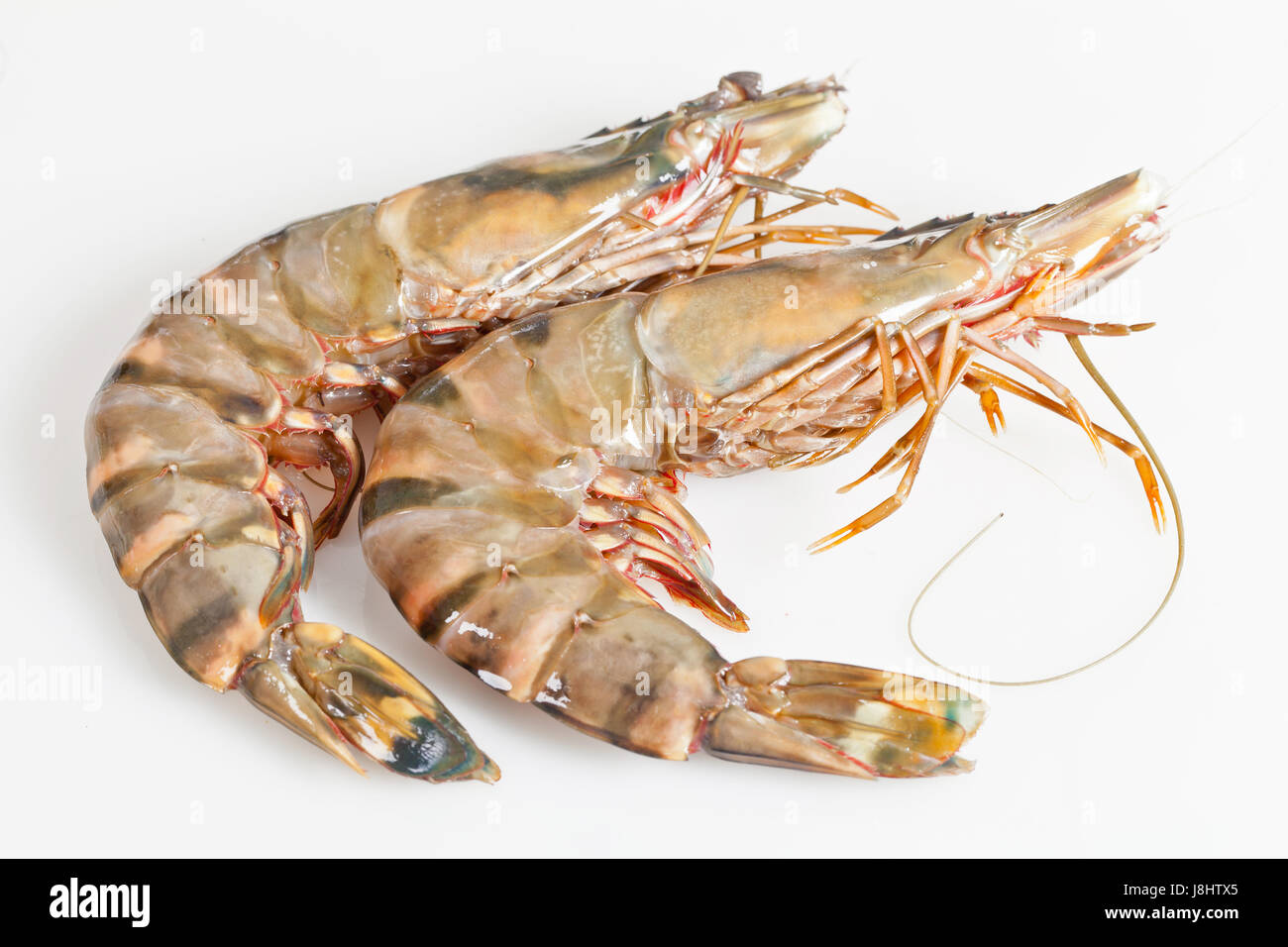 shrimp, raw, shellfish, seafood, scampi, food, aliment, shrimp, angle ...