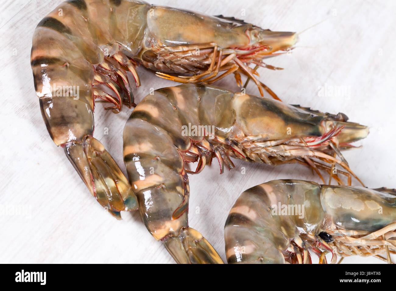 shrimp, raw, shellfish, seafood, scampi, food, aliment, shrimp, angle ...