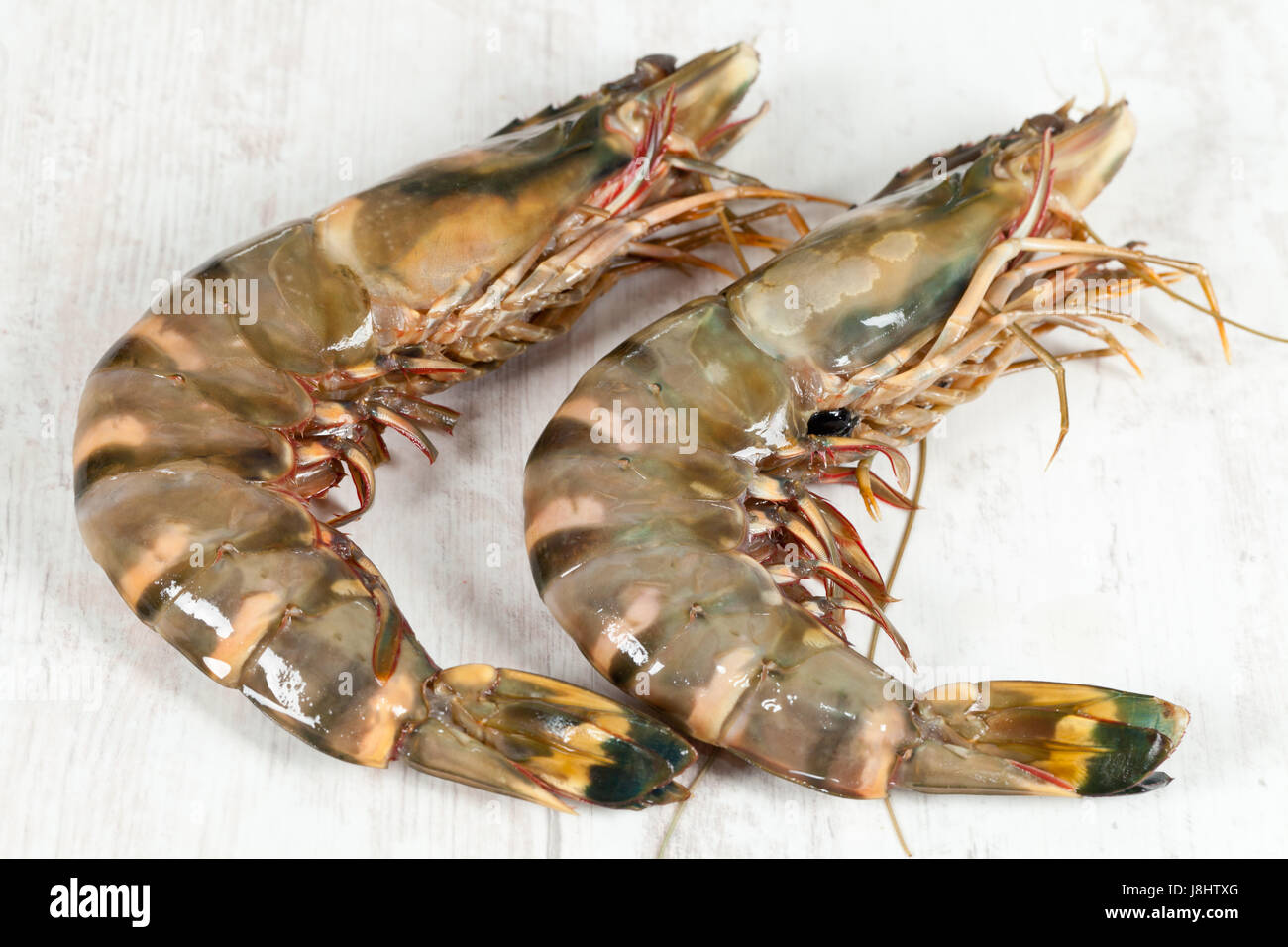 shrimp, raw, shellfish, seafood, scampi, food, aliment, shrimp, angle ...