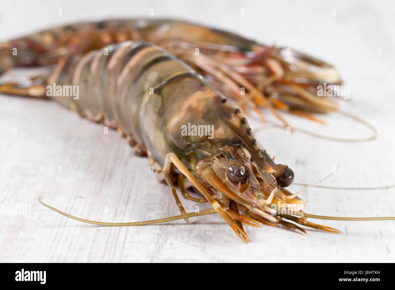 shrimp, raw, shellfish, seafood, scampi, food, aliment, shrimp, angle ...