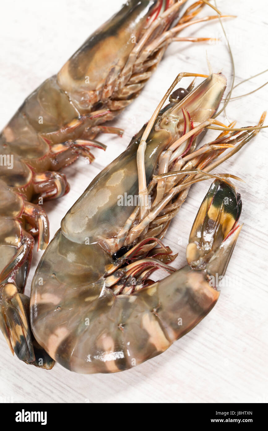 shrimp, raw, shellfish, seafood, scampi, food, aliment, shrimp, angle ...